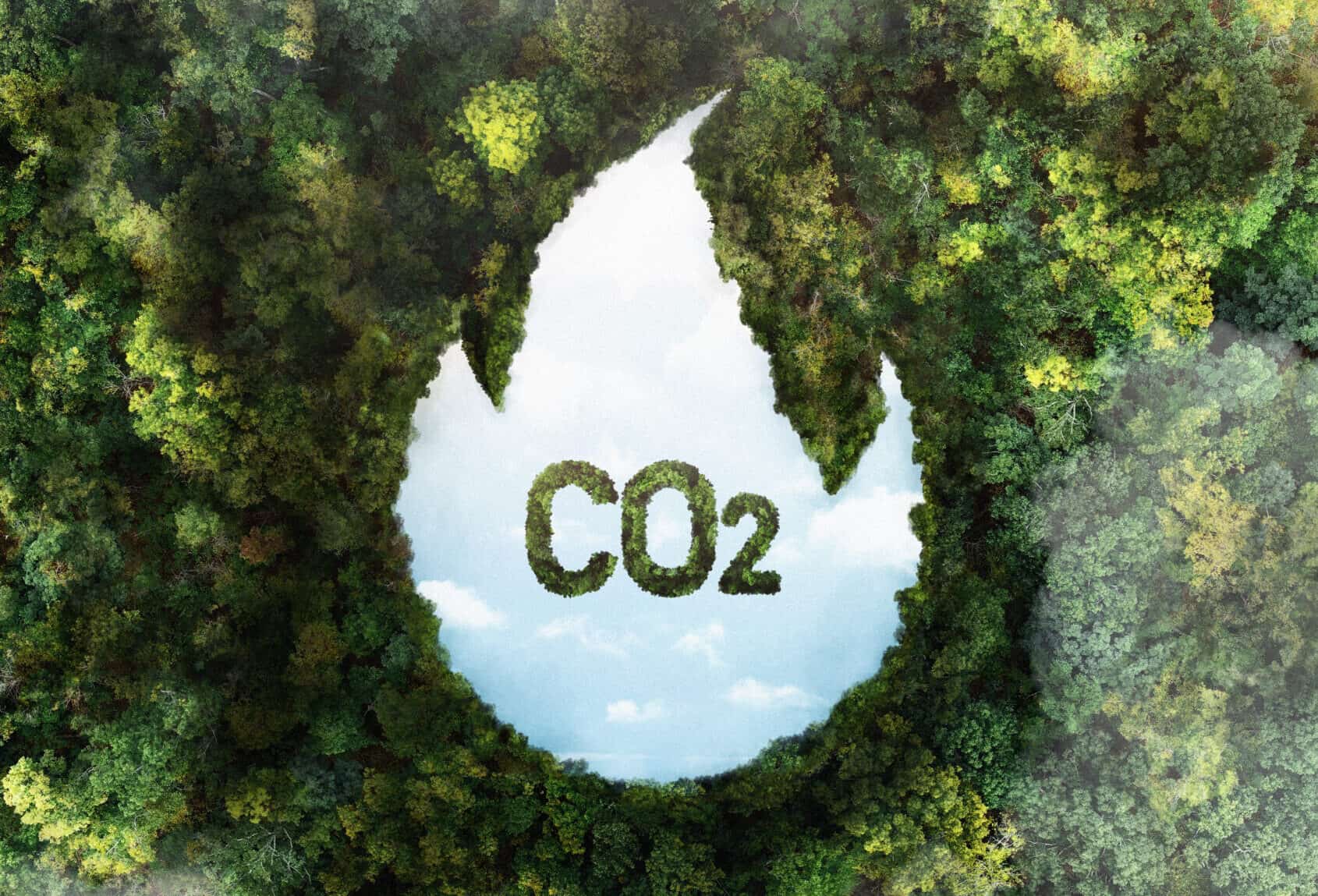 AI: previsioni preoccupanti sulle emissioni di CO2 - MRW.it