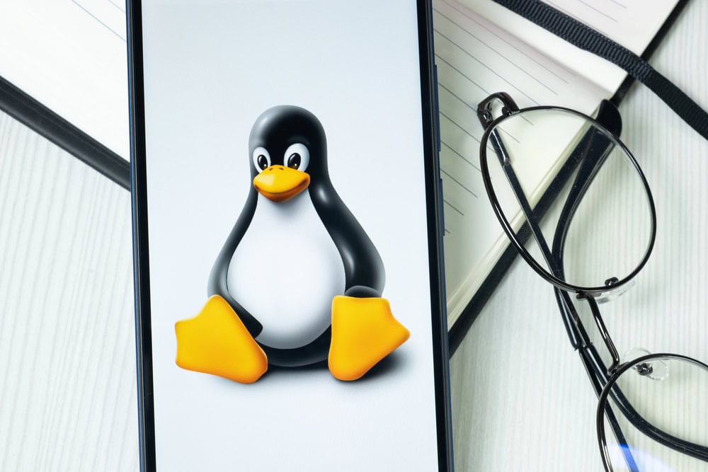 Linux non è stato mai così diffuso negli USA - MRW.it
